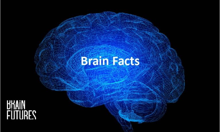 BrainFutures - August Brain Facts